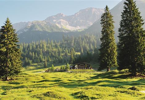 Familienfreundliche Almen & Hütten in der Region Seefeld