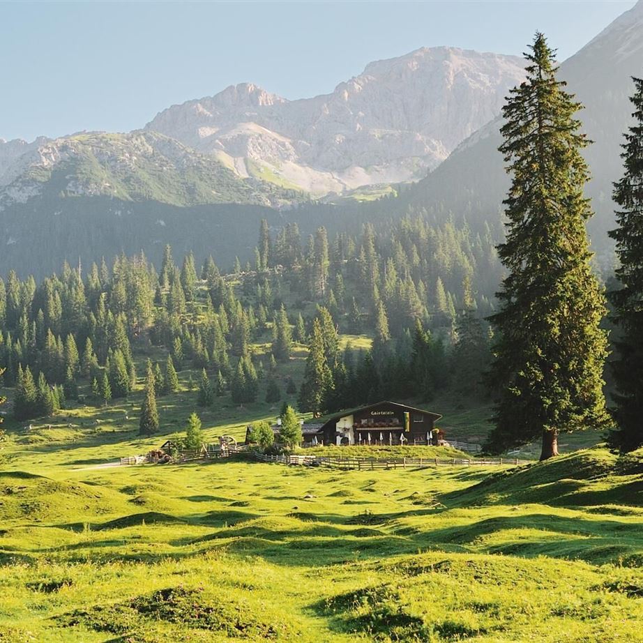 Wanderung zur Gaistalalm & Tillfussalm