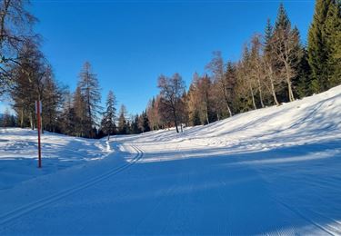 Alle Loipen der Region Seefeld im Überblick